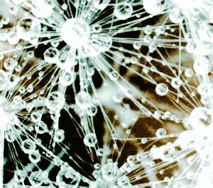 Never Give Up On A Miracle X Rudywade The Sex Files A Dark XXX Parody