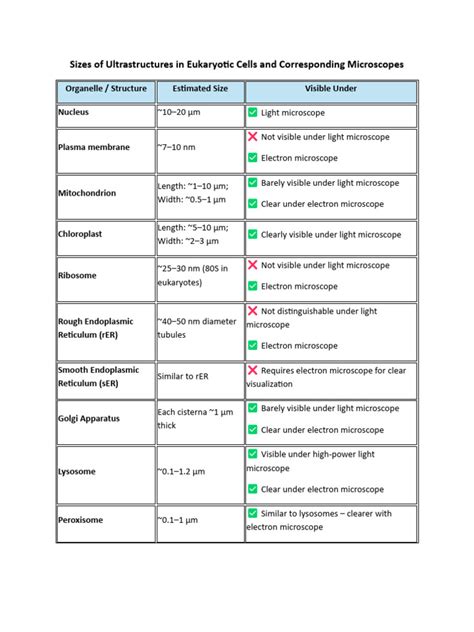 Eukaryotic Cell Ultrastructure Sizes Pdf Endoplasmic Reticulum