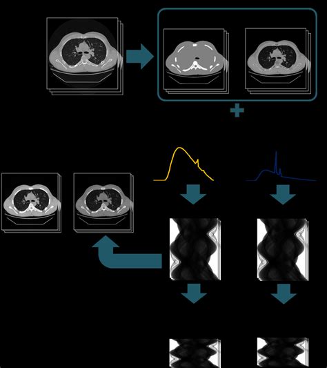 Workflow Of The Simulation Data Generation Download Scientific Diagram