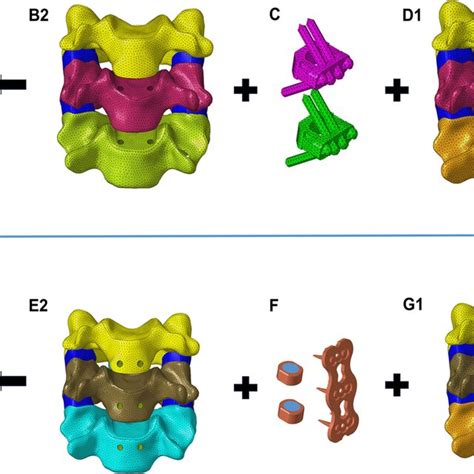 A A Three Dimensional Finite Element Fe Model Was Developed B G Download Scientific Diagram