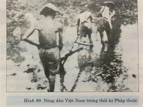 Tổng Hợp 300 ảnh Việt Nam Thời Pháp Thuộc Mới Nhất