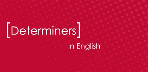 Determiners In English Grammar With Examples A To Z Polylingoo