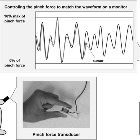 Pinch Forcetracking Task Participants Performed The Task Of Matching