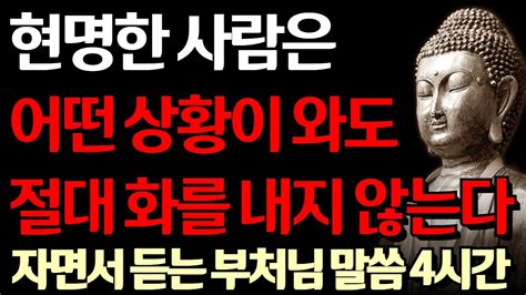 현명한 사람들은 절대 화를 내지 않는다 I 지혜로운 자들이 분노를 다스리는 방법 I 자면서 듣는 부처님 말씀 4시간 L 지혜 I 오디오북 I 철학 I 독경 I 조언