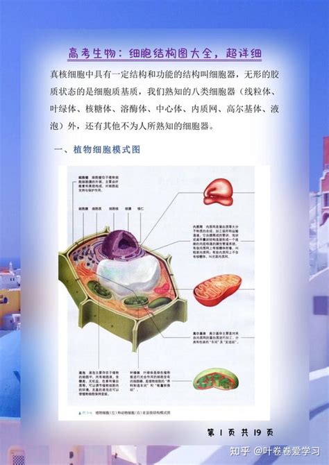 高考生物：细胞结构图大全，超详细 共19页 电子版 可打印 知乎