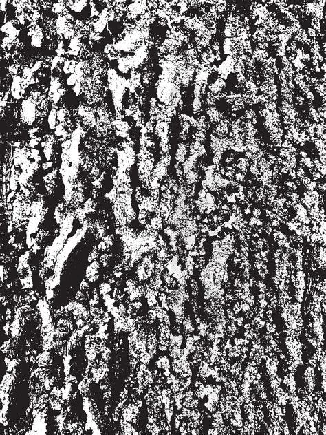 Grunge Tree Bark Texture 3613051 Vector Art At Vecteezy