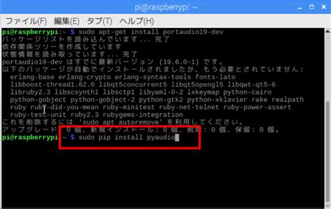 Raspberry Piでの撮影と録音をPythonで制御する パソコン工房 NEXMAG