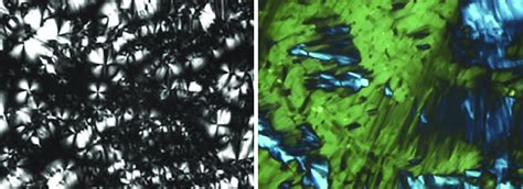 Polarized Light Micrography Of Lcs Lamellar Phase Left And Hexagonal
