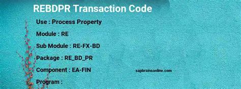 REBDPR SAP Tcode For Process Property