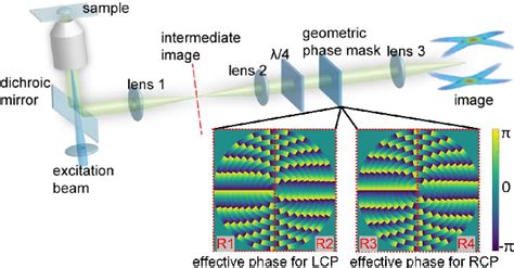 Figure 1 From Geometric Phase Helical Psf For Simultaneous Orientation