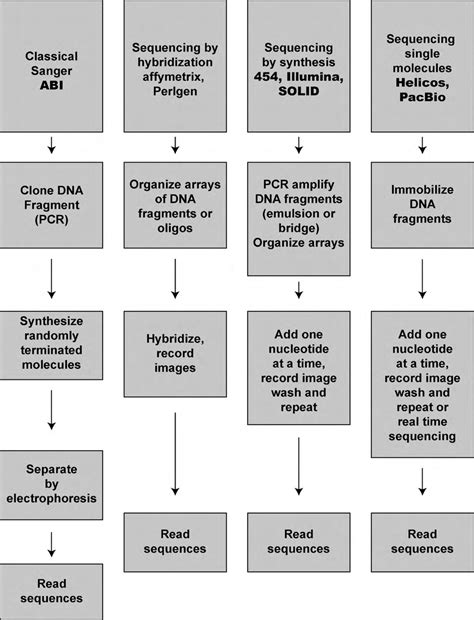A Flow Chart Of The Different Types Of Sequencing Methods Download