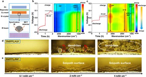 A Schematic Diagram Of In Situ Atr Ftir Analysis B And C Download Scientific Diagram