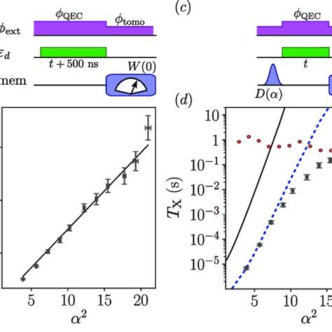A Pulse Sequence Of The Phase Flip Rate Measurement B Dots