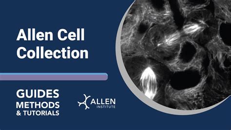 The Allen Cell Collection Tutorial Allen Institute
