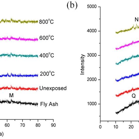 Sem Micrographs Of A Fly Ash B Unexposed And Exposed Unfoamed Fly