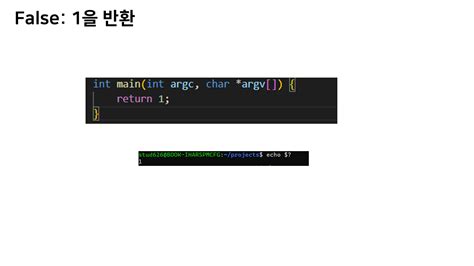 GitHub Mr Forger SysP Project