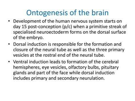 Introduction To Neurologypptx