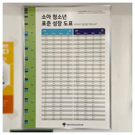 영유아 발달계산기 아기 표준성장표 6세 아이 키 어린이체중 네이버 블로그