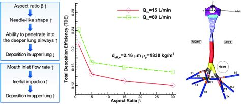 Total Deposition Efficiencies Of Ellipsoidal Fibers Including Spheres