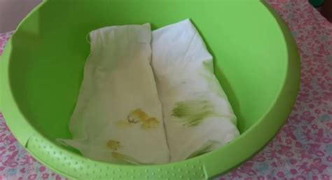 Як вивести плями від трави з одягу чотири дієві способи Politeka