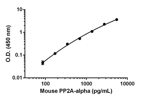 Anti Pp2a Alpha Antibody [epr19239 110] Bsa And Azide Free Ab242579 Abcam