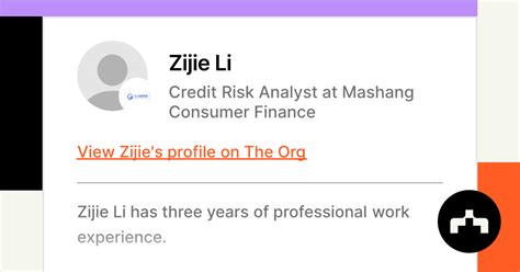 Zijie Li Credit Risk Analyst At Mashang Consumer Finance The Org