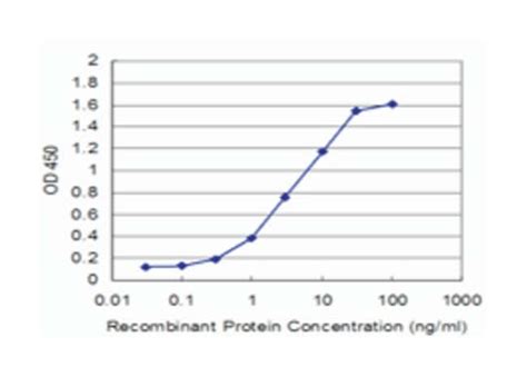 anti runx2 6e1 100ug
