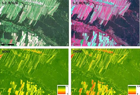 Sentinel 2 Data And Vegetation Indices
