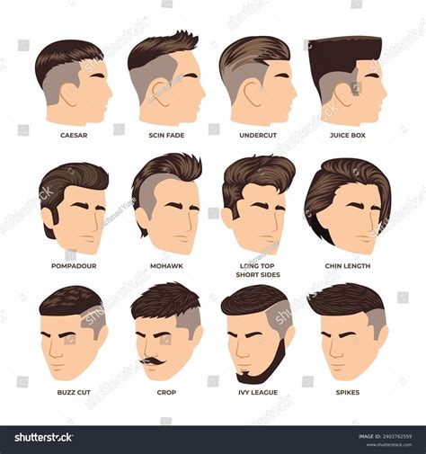 Types Mens Haircuts Different Types Mens Haircuts Royalty Free Images Stock Photos