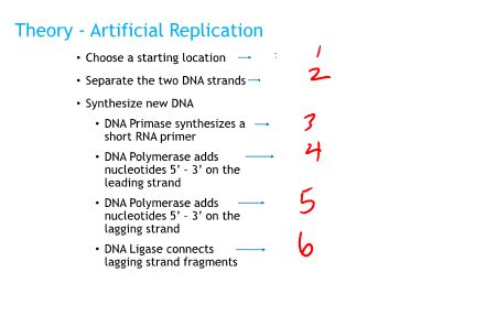 Phys Exam 2 Flashcards Quizlet