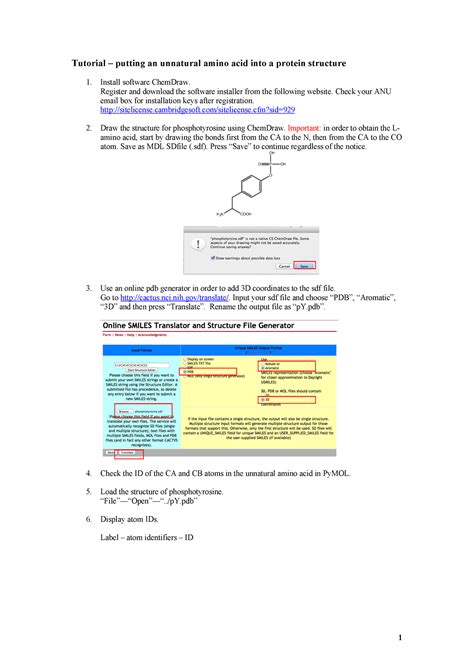 Tute3b Py Mol And Uaa Tutorial Putting An Unnatural Amino Acid Into A Protein Structure 1