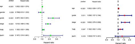 Univariate And Multivariate Cox Regression Analysis Univariate And Download Scientific Diagram