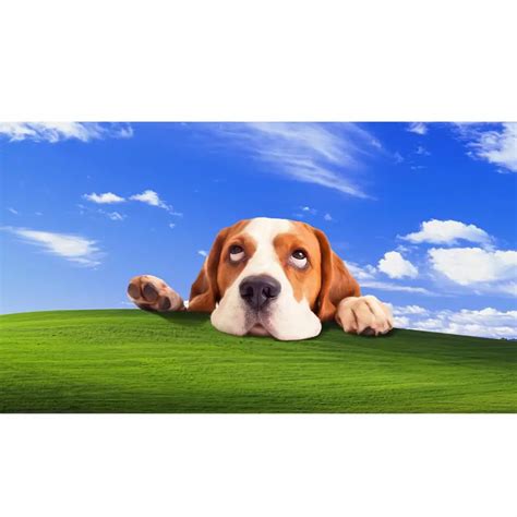 แจกภาพล็อคหน้าจอคอม โน๊ตบุ๊ค ฟรี แกลเลอรีที่โพสต์โดย Now Lemon8