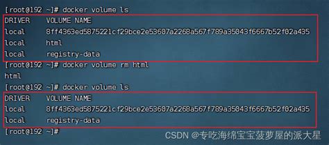 Docker中的数据卷 极客之音