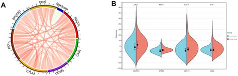 Development And Validation Of A Muc16 Mutation Associated Immune Prognostic Model For Lung