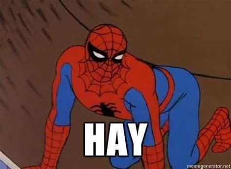 You Cant Convince Me That There Is A Single Version Of Spider Man That Isnt Bisexual Look At