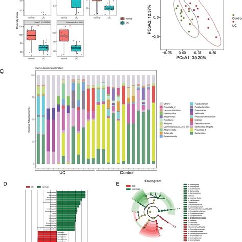 The Composition Of Intestinal Microbiota In The Uc And Control Groups