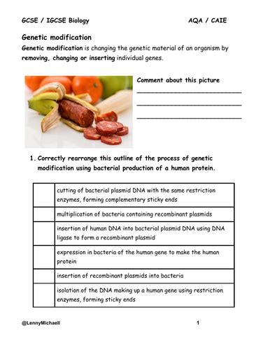 Gcse Igcse Biology Genetic Modification Worksheet Teaching Resources