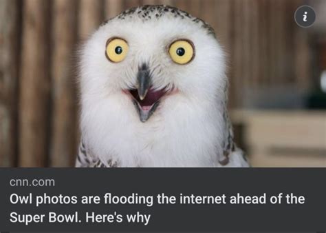 Melanie Martin Leff On Linkedin Did You Know Its Illegal To Use The