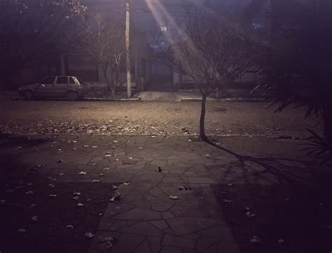 무료 이미지 산 눈 안개 밤 곡물 햇빛 아침 날씨 어둠 무서운 집 모션 효과 귀신이 들린 모양 대기