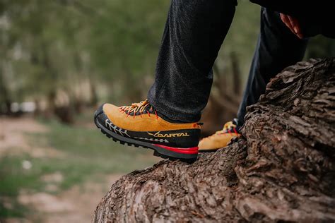 کفش کوهنوردی بنرو کفش کوهنوردی قارتال