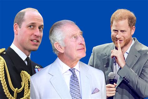 Prince Harry And King Charles Major Royal Rift Dilemma Newsweek