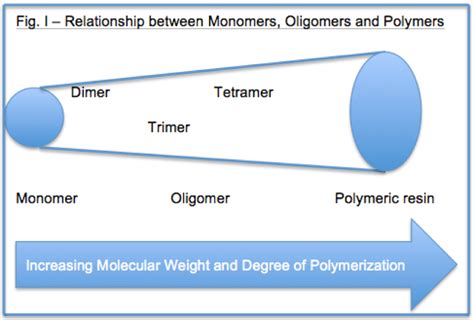 Monomers And Oligomers Characteristics Functions And Applications