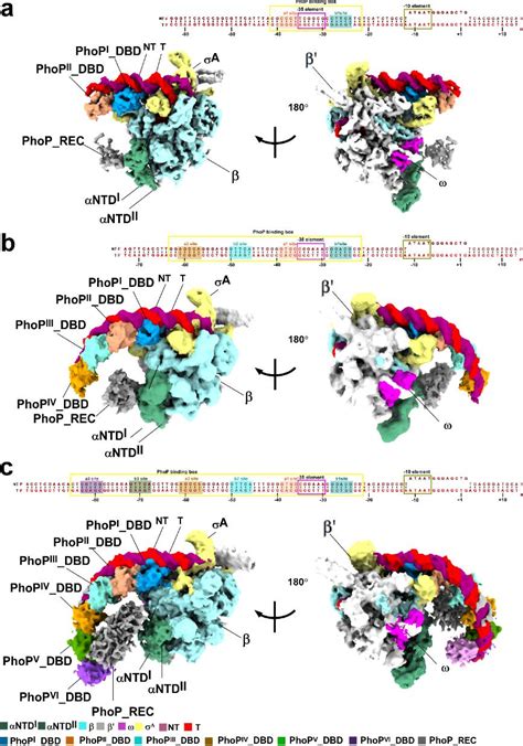 南京中医药大学科研动态——林炜教授团队在nature Communications发表抗结核分枝杆菌潜伏感染药物新型靶标及作用机制的研究成果