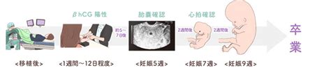 当院の治療内容 │ 加藤レディスクリニック：不妊治療 体外受精