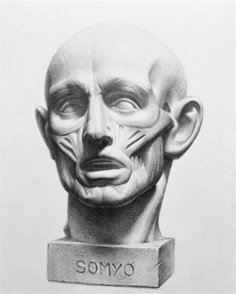 소묘화실 Somyo 톤을 부드럽게 그리는 것이 잘 어울리는 천사 조각상 소묘 🤍 ️연필화 전문 소묘화실 수강생 상시 모집중 ️카톡 채널 아이디 소묘‘ 언제든지