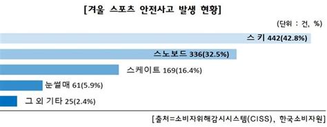 스키 등 겨울 스포츠 안전사고 발생에 주의소비자를위한신문 Consumertimeskorea
