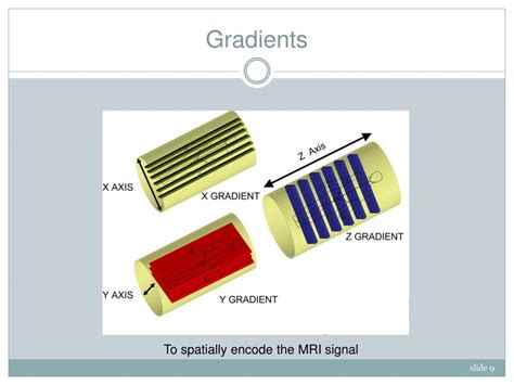 Ppt Principles Of Mri Powerpoint Presentation Free Download Id 4850474