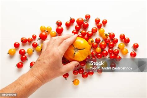 빨간색과 노란색 체리 토마토 신선한 밝은 유기농 야채 규정식과 건강한 먹기 0명에 대한 스톡 사진 및 기타 이미지 0명 개체 그룹 건강한 생활방식 Istock