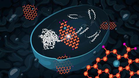 Graphene Oxide Danger